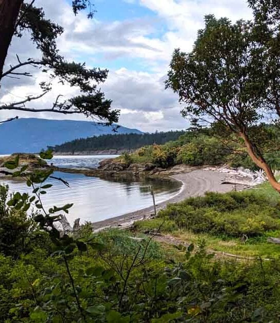 washington remote island gem ftr