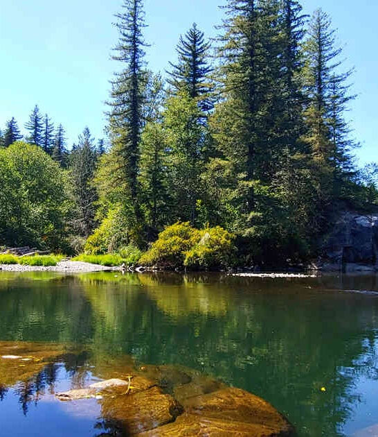washington visit state park ftr