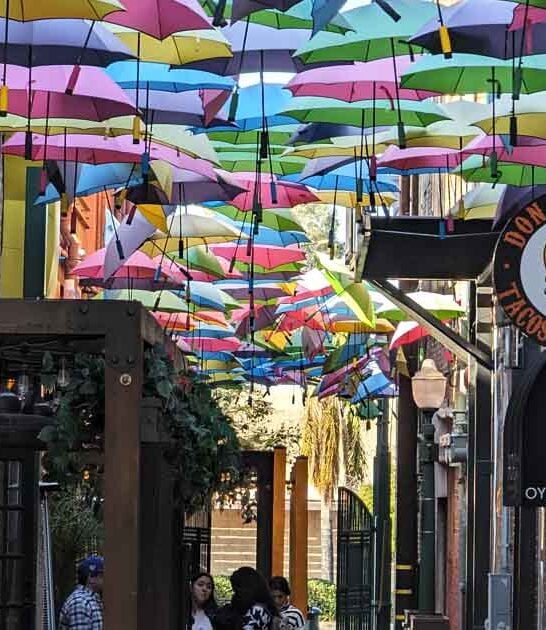 whimsical california umbrella alley ftr
