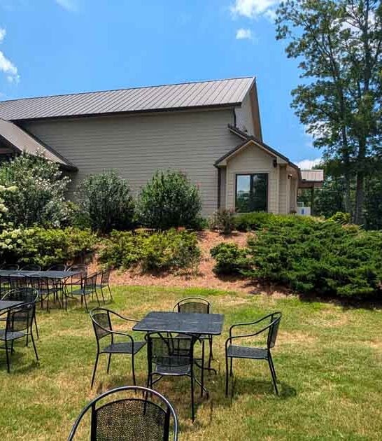 whimsical georgia vineyard wine ftr