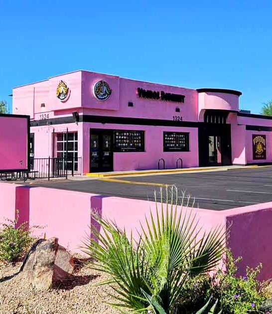 wildly creative donuts arizona ftr