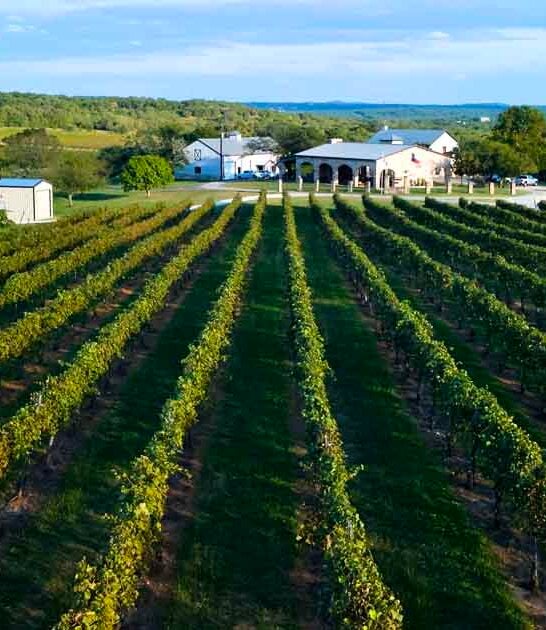 wonderfully remote winery texas ftr