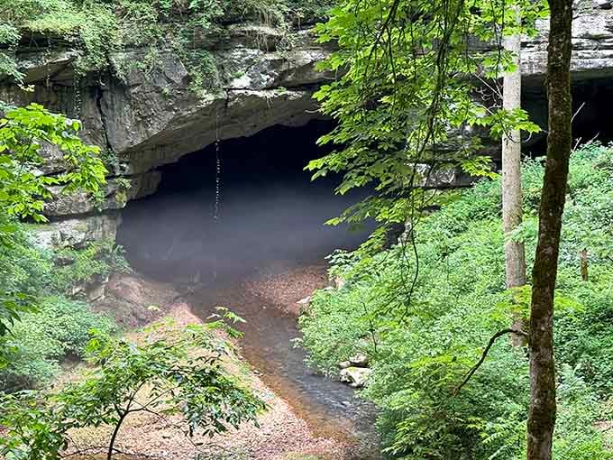That dark opening in the limestone bluff has been welcoming visitors for over 10,000 years. Not bad for a cave.