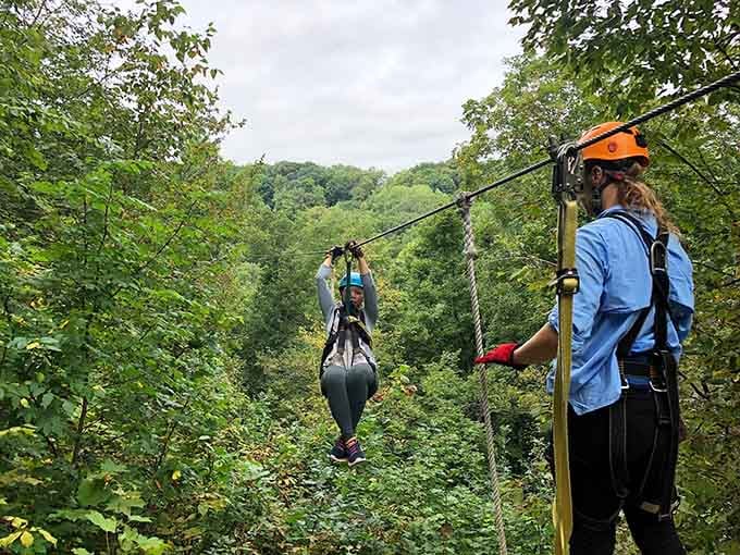 Pure freedom on a cable, soaring through the treetops like nature intended all along.