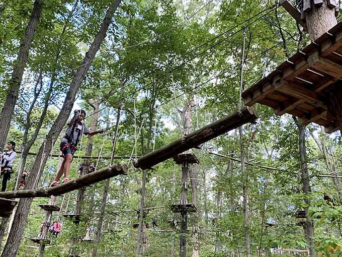 Harnessed up and high above the ground, this young adventurer is conquering the treetop log walk like a total pro!