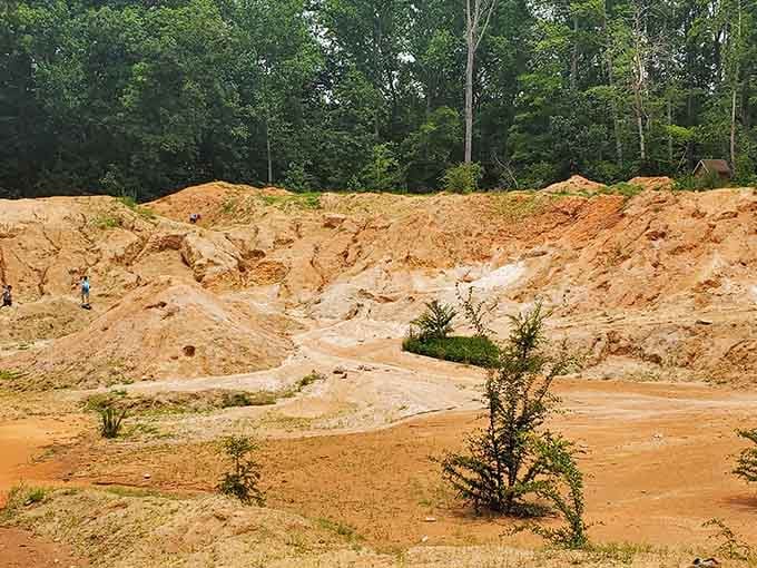 Six acres of red clay and hidden treasure, this is South Carolina's best-kept geological secret.