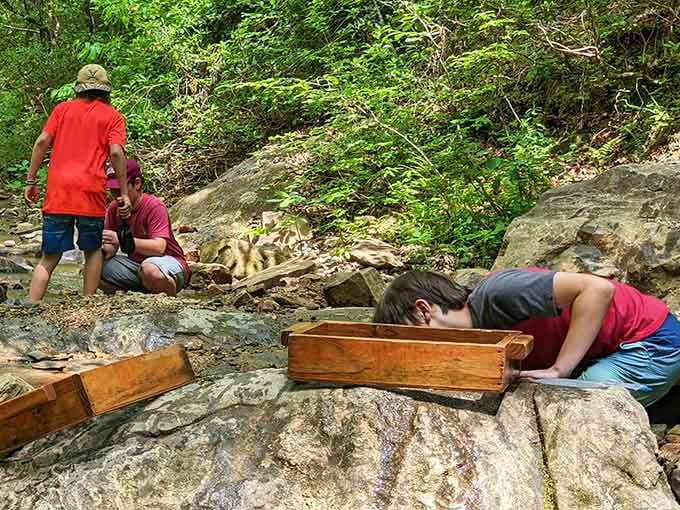 At Emerald Hollow Mine, the real treasure isn't just what you find, it's the hunt itself.
