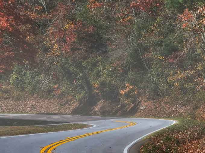 Every curve reveals another reason to pull over, grab your camera, and wonder why you ever vacation anywhere else.