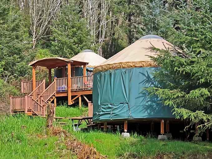 Nestled among towering evergreens, Vista Park's yurts are Washington's best-kept camping secret.