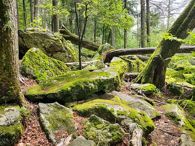 These moss-covered boulders look like nature's own furniture collection, arranged by a very artistic giant.