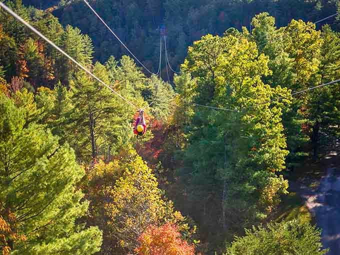 Soaring above a stunning canopy of fall colors, this zipline rider is living their absolute best Kentucky adventure!