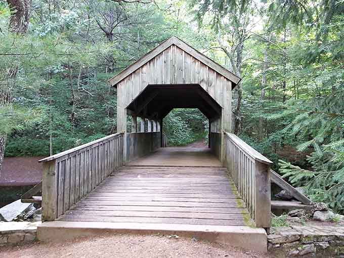 Stroll across this charming covered wooden bridge and enjoy the peaceful, lush green forest views surrounding you in nature.