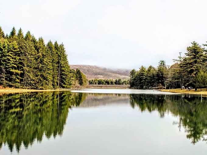 Mirror-perfect reflections that'll make your phone's camera work overtime capturing nature's own masterpiece.