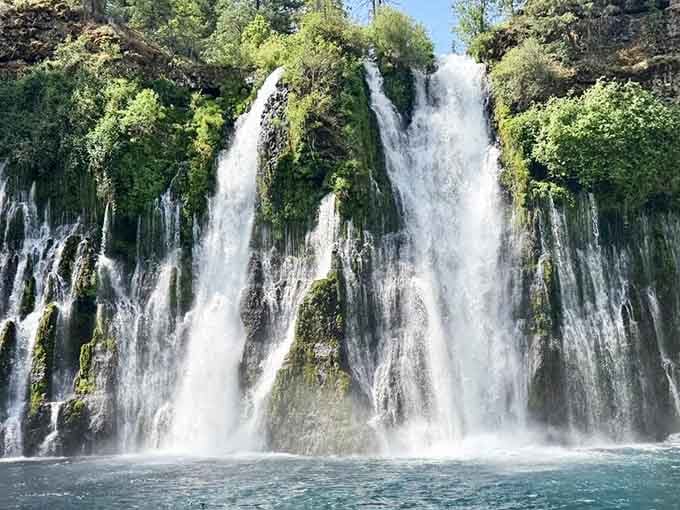 Nature's own curtain call, and trust us, this standing ovation is absolutely earned.