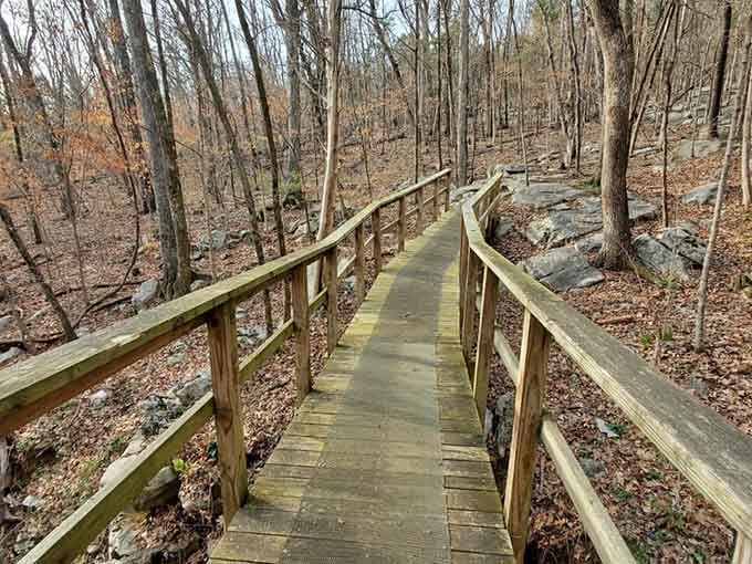 This elevated boardwalk keeps your feet dry while your spirit soars through Alabama's autumn woodland wonderland.