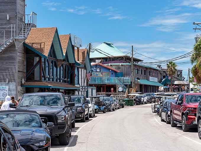 When the road literally ends at paradise, you know you've found something special in Cedar Key.