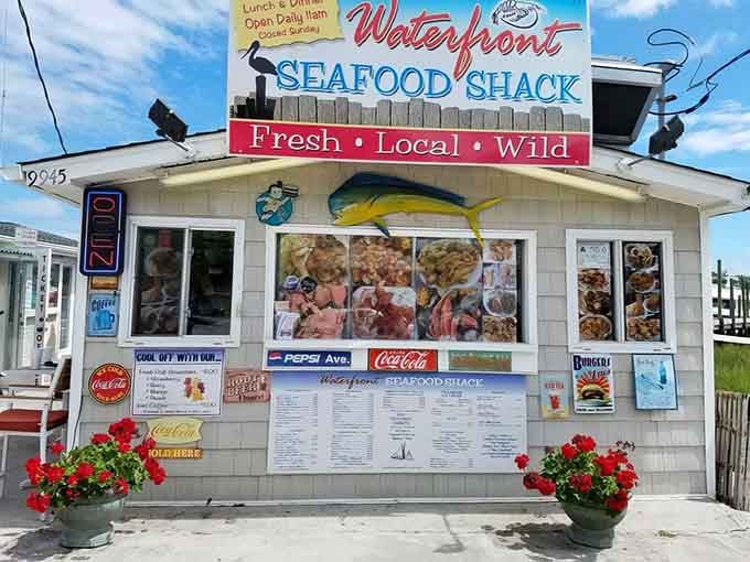 Three words on that sign say everything: Fresh. Local. Wild. This shack means every single one of them.