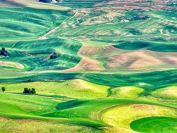 These undulating fields look like someone painted them in Photoshop, except this masterpiece is gloriously, impossibly real.