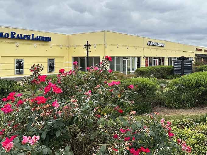 Vibrant roses blooming in front of Polo Ralph Lauren, because even the landscaping here understands the importance of presentation.