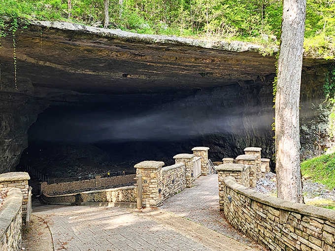 That entrance isn't just big, it's "drive a tour bus through it" big, and yes, that's actually possible here.
