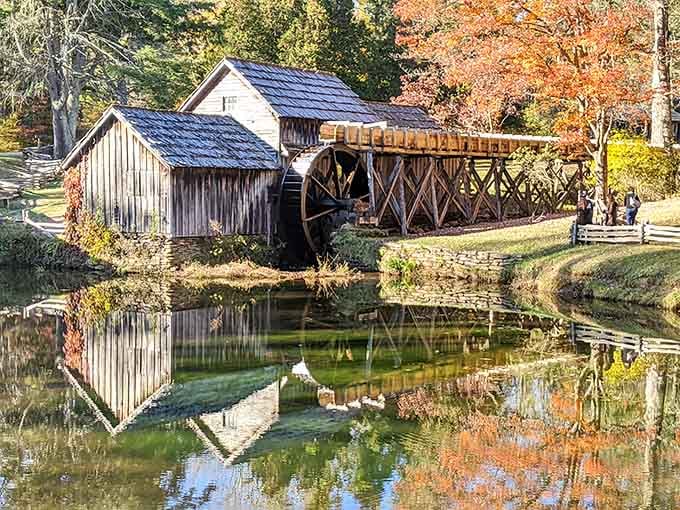 That perfect postcard moment when fall decides to show off and a century-old mill steals the spotlight completely.