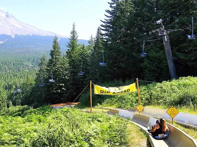 That winding white ribbon of joy snaking down the mountain? That's your afternoon plans calling.