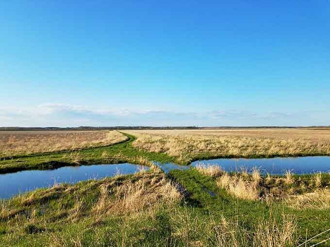 Flat, wide, and gloriously open, this golden marshland stretches toward forever under a perfect Michigan sky.