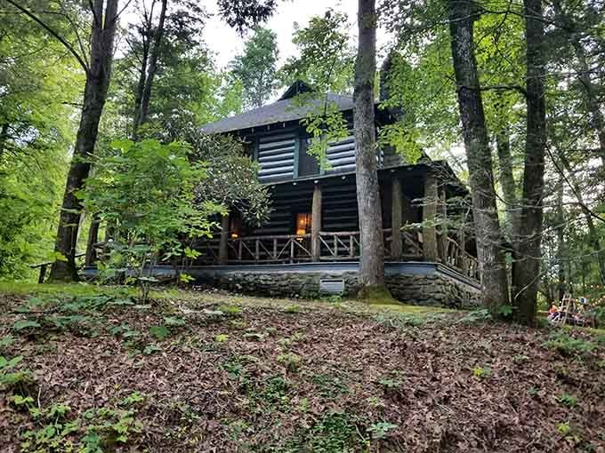 Those dark logs and green trim aren't just pretty. They're a century's worth of secrets stacked on top of each other.