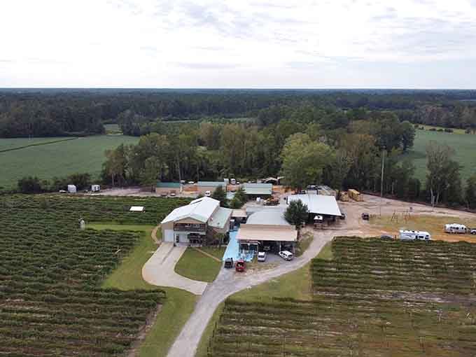 From above, you can see the full scope of this beautiful rural retreat surrounded by vineyards and open countryside.