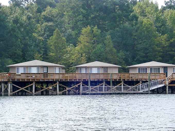 These aren't houseboats, they're actual cabins on stilts proving South Carolina does luxury differently than everyone else.