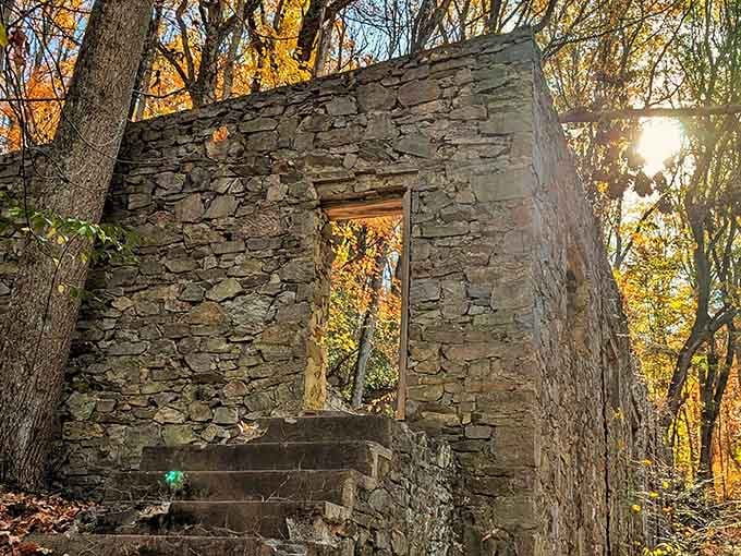 Stone steps leading nowhere, yet somehow calling you to climb them anyway. Pure Pennsylvania magic.