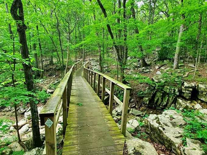 This wooden bridge stretches through emerald forest like nature's own yellow brick road, minus the flying monkeys.
