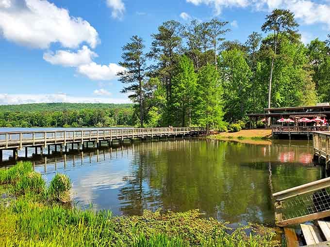Wooden boardwalks, mirror-still water, and towering pines — the Virginia Hand Callaway Discovery Center delivers pure Georgia magic.