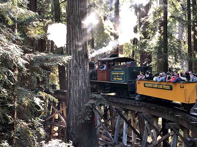 Roaring Camp in Felton, California, where ancient redwoods and real steam trains create pure, unscripted magic.
