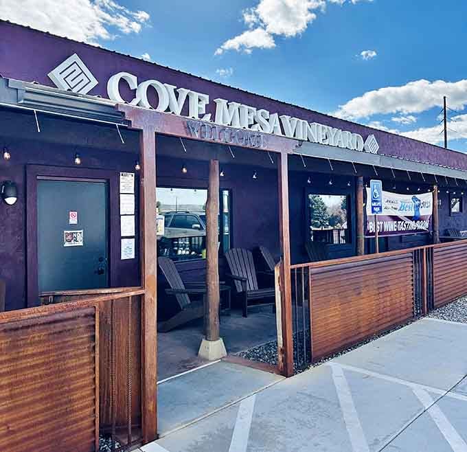 That "Best Wine Tasting Room 2023" banner isn't just decoration, it's a promise Cove Mesa Vineyard keeps every single day.