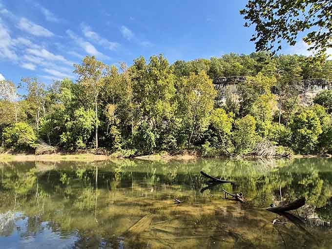 Nature called, and Blue Springs Creek Conservation Area picked up on the very first ring.
