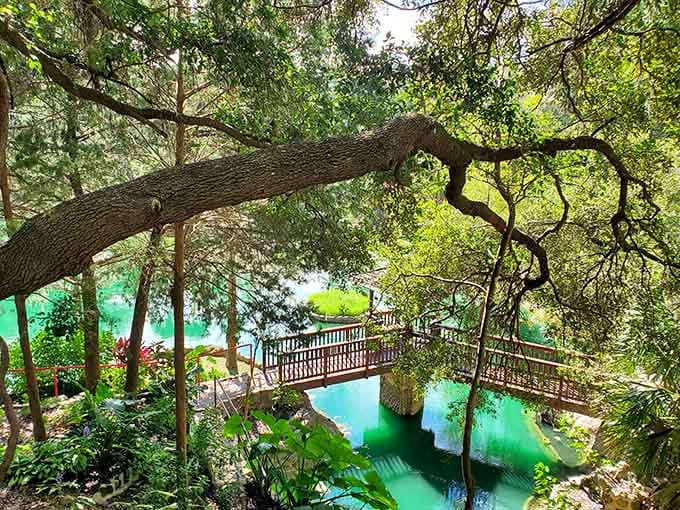 Wooden bridges, emerald water, and zero traffic jams. Florida is full of surprises.