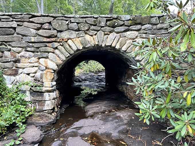 Historic stone archways dot the area, adding character and reminding you that these paths have welcomed visitors for generations.