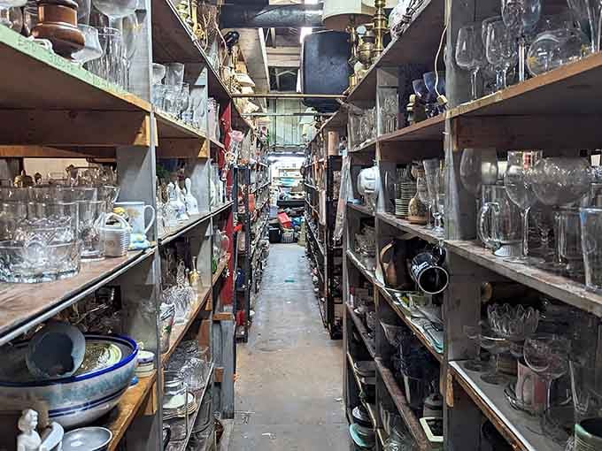 These towering shelves of glassware and treasures stretch like canyons through a thrifter's paradise.