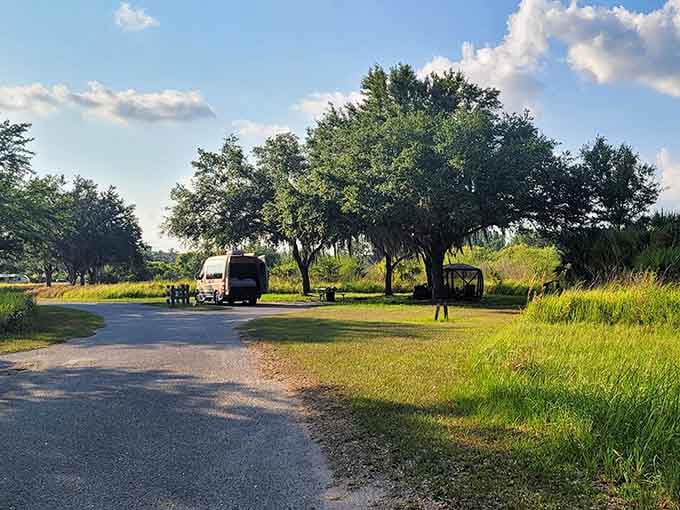 Shaded campsites under sprawling oaks make you forget civilization exists just down the road.
