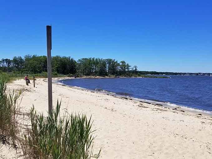 With calm bay waters and pristine sandy shores, Cattus Island provides the perfect escape for a relaxing afternoon by the water.