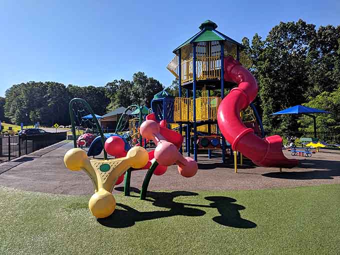 Bright colors, open skies, and enough climbing structures to make any kid forget screens exist entirely.
