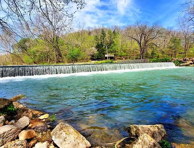 When spring water meets Ozark beauty, you get views that belong on postcards nobody would believe.