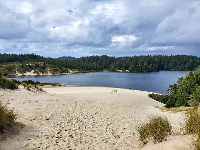 White sand meets blue water in Oregon, proof that paradise doesn't always require a passport.