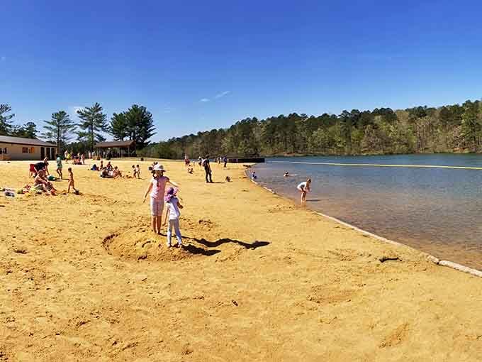 Golden sand meets sparkling water, and suddenly Alabama feels like the best-kept secret on earth.