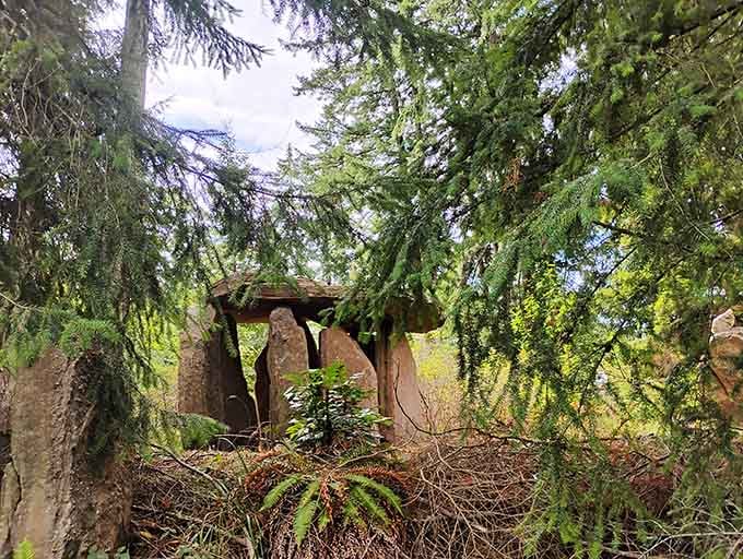 Tucked behind a curtain of ferns and fir branches, this dolmen at Earth Sanctuary looks like nature's best-kept secret hiding in plain sight.