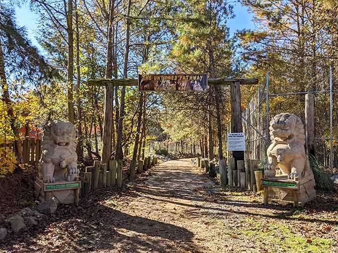 Two stone lion guardians flank the Untamed Pathway, daring you to take that first thrilling step forward.