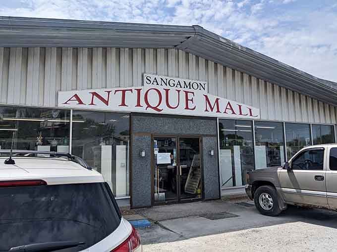 Behind those unassuming doors lies a treasure trove that'll make your inner collector do a happy dance.