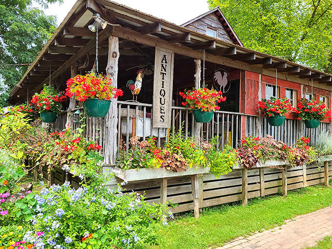 Flowers cascading from every corner like nature decided to throw a party and forgot to stop decorating the antique shop.