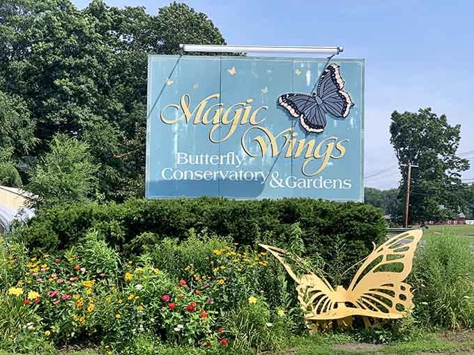 Welcome to this beautiful conservatory and gardens, where colorful flowers and stunning butterfly sculptures greet you at the entrance!